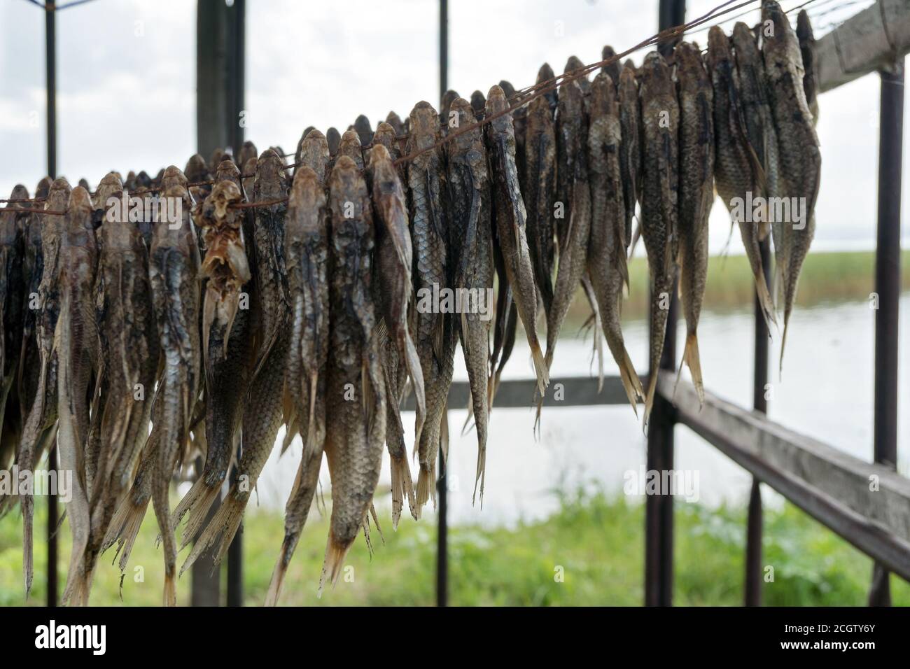 Edible in small quantities hi-res stock photography and images - Alamy