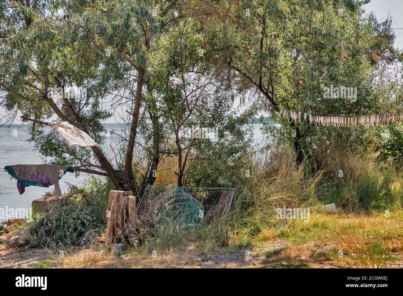Fishing spot on the shore of Dniester Estuary landscape in Shabo ...
