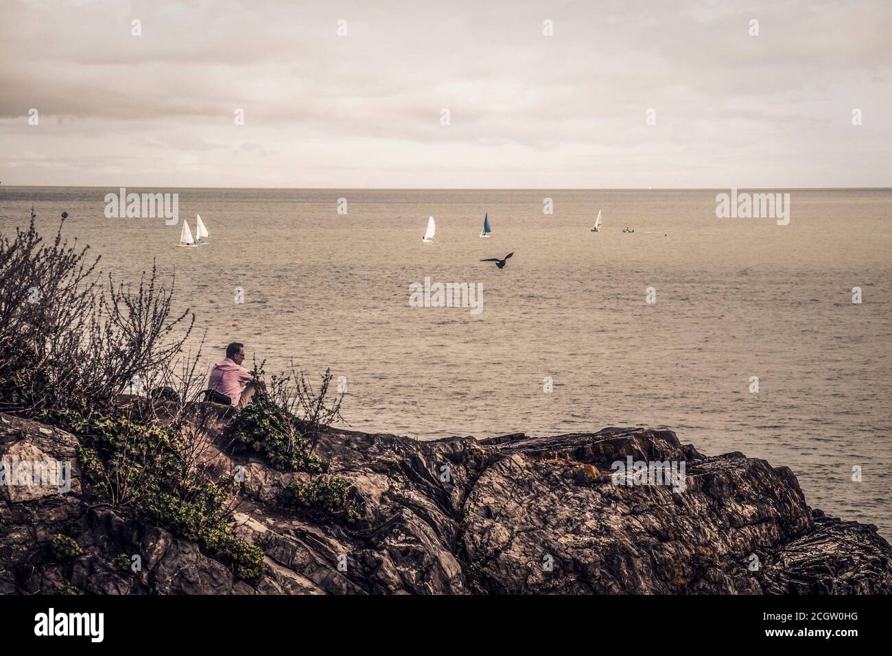 Man sitting on the cliff ledge in front of sailing regatta Stock Photo ...