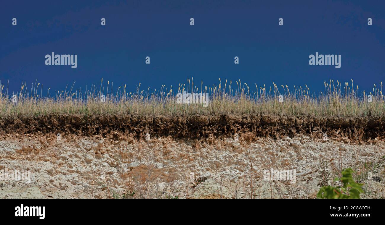 underground soil layer of cross section earth, erosion ground with ...