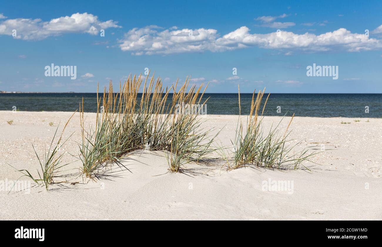 Beaches and landscapes hi-res stock photography and images - Alamy