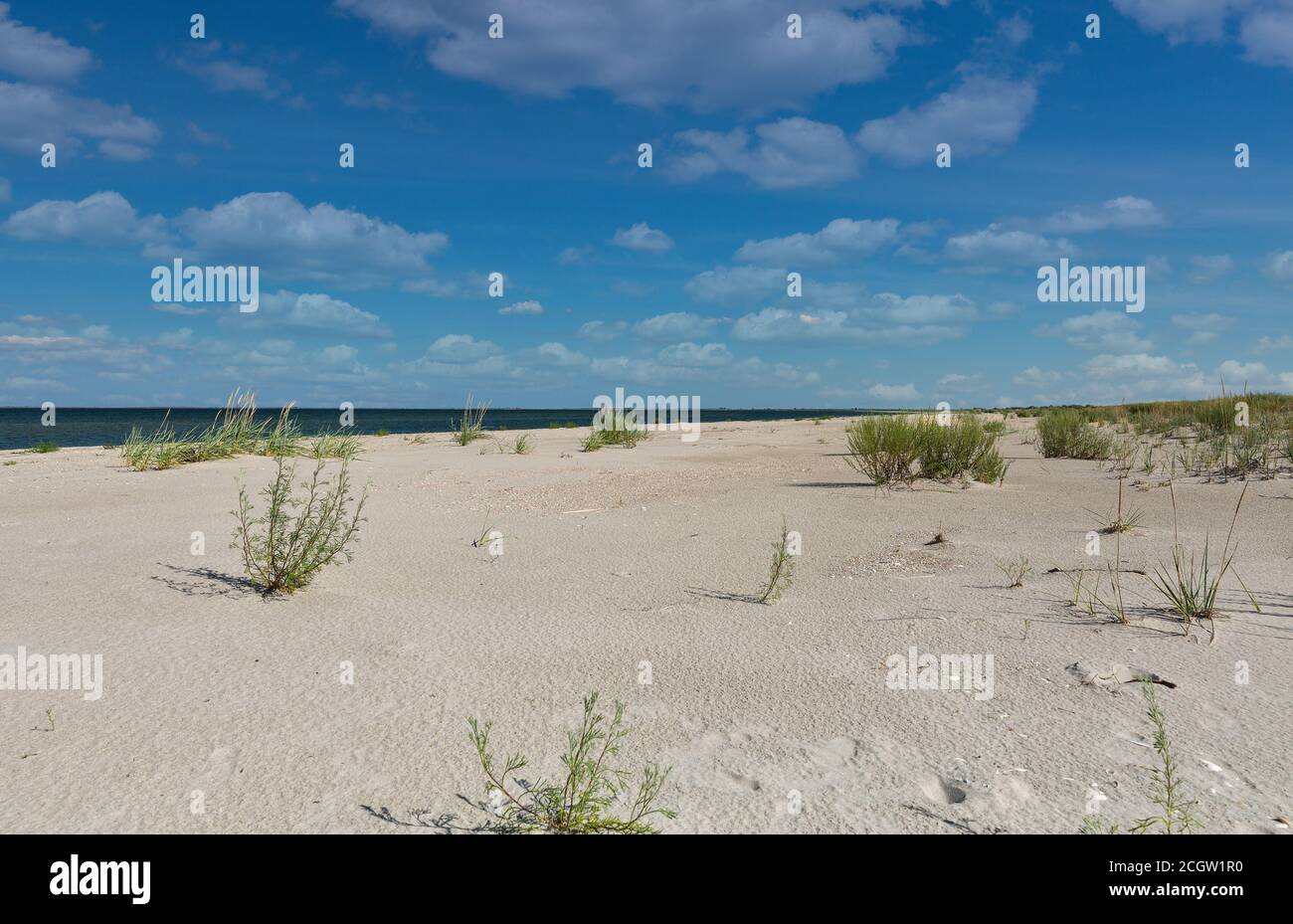 Wild beach landscape near Prymorske, Ukraine. Black Sea close to Danube ...