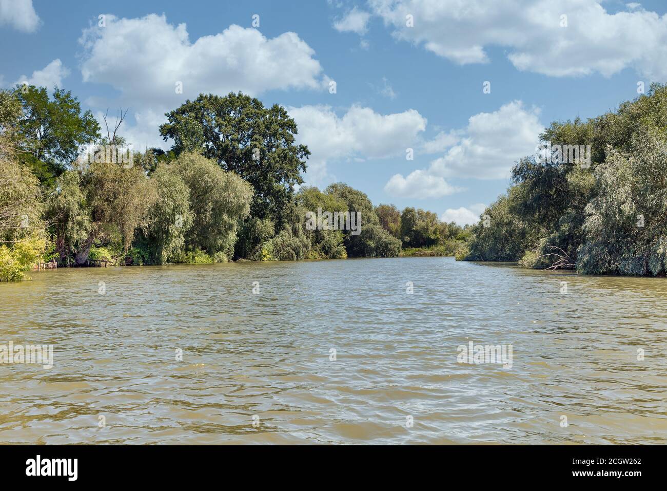 Danube biosphere reserve Ankudinovo river summer landscape near Vilkove ...
