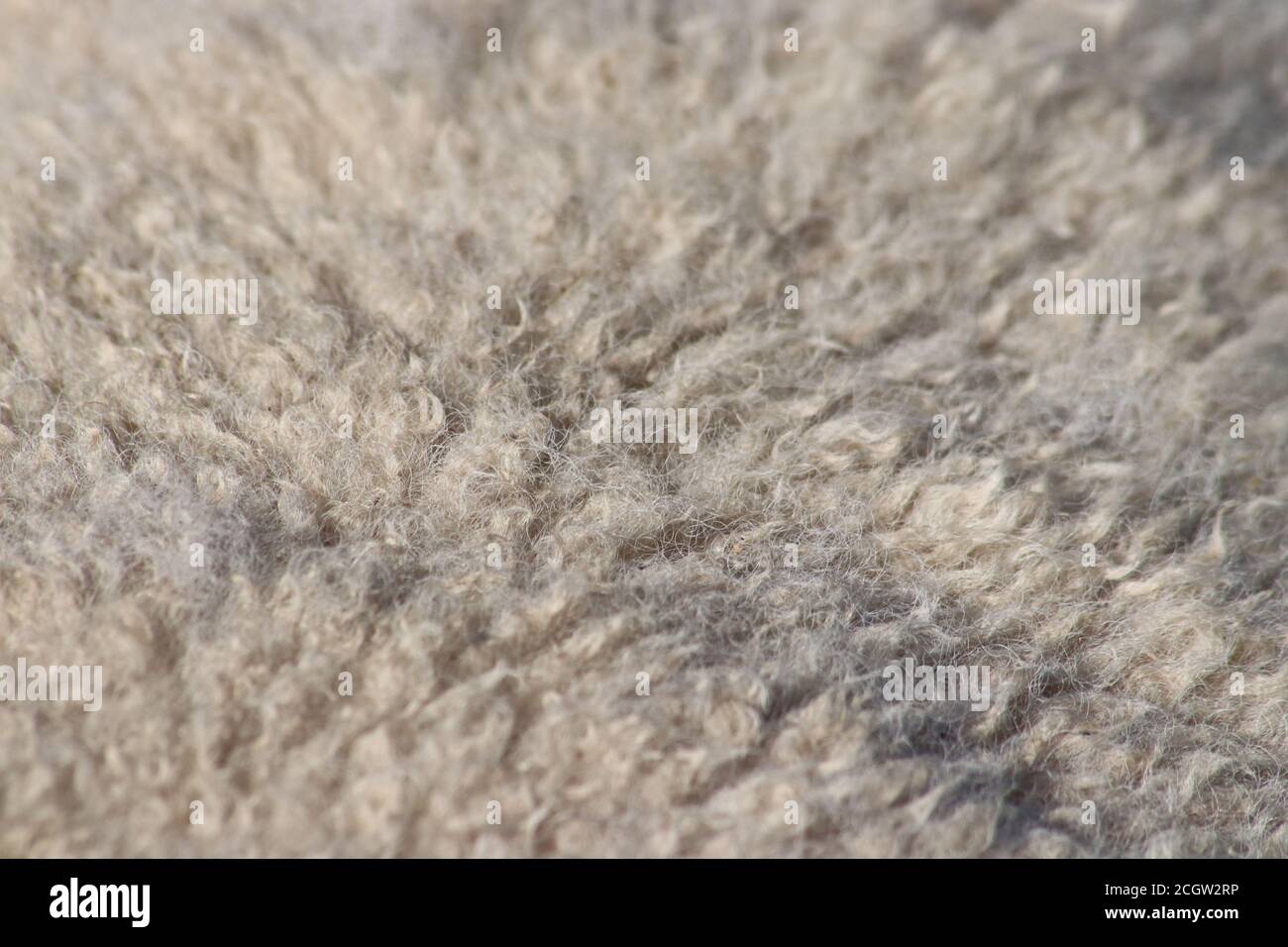 Sheeps Fleece High Resolution Stock Photography and Images - Alamy