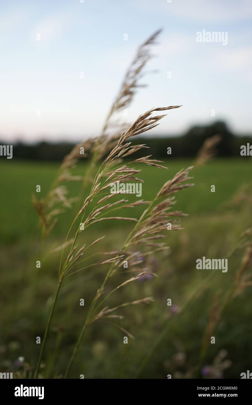 Climate magazine hi-res stock photography and images - Alamy