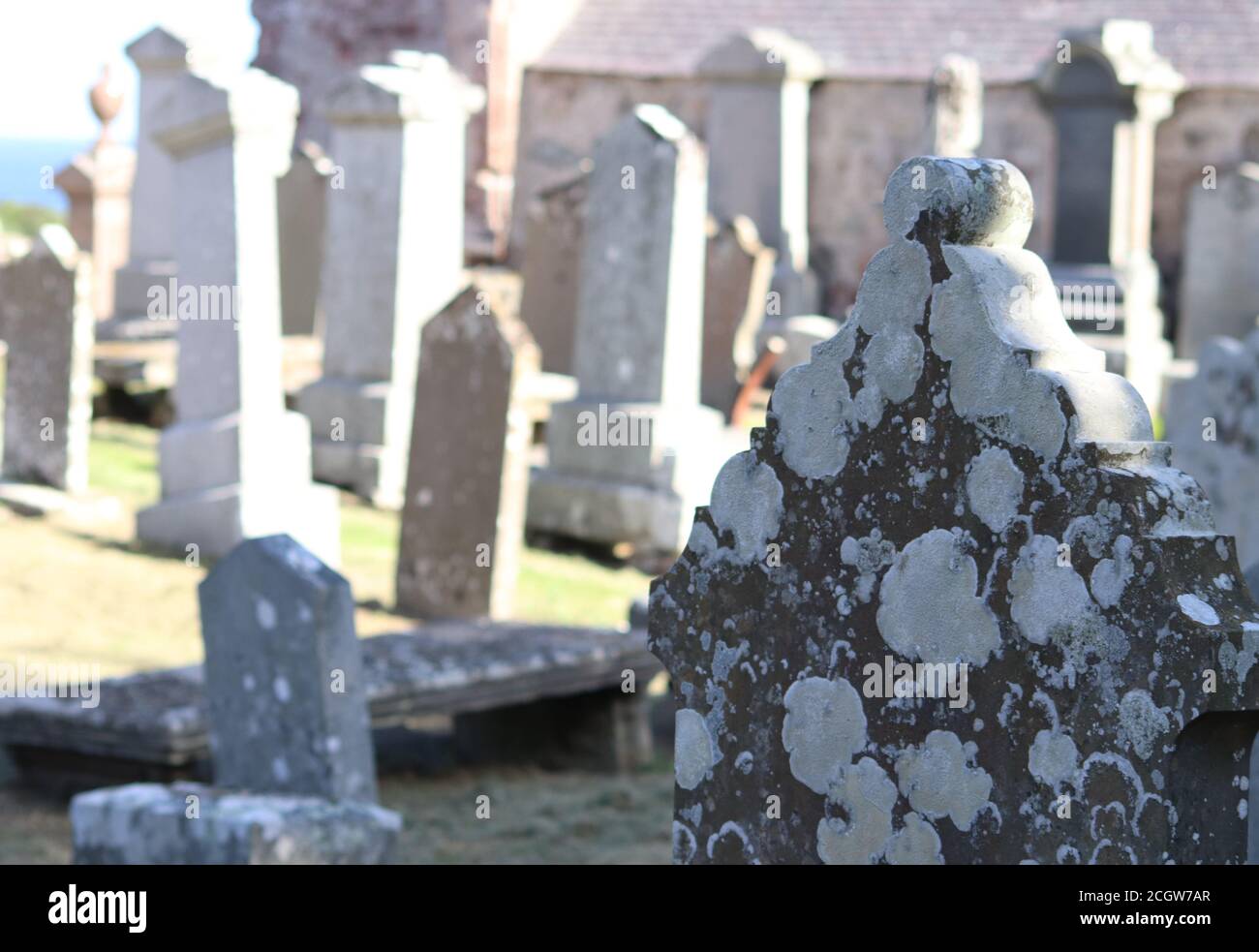 Solitary gravestones hi-res stock photography and images - Alamy
