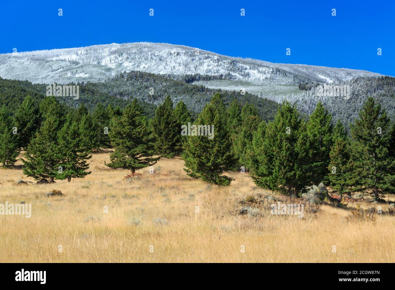 Mt d1675 hi-res stock photography and images - Alamy