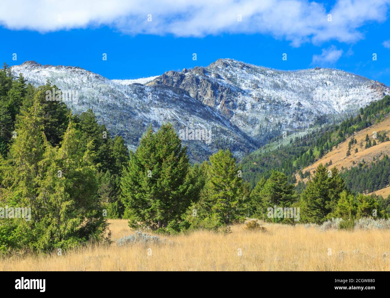 Mt d1710 hi-res stock photography and images - Alamy