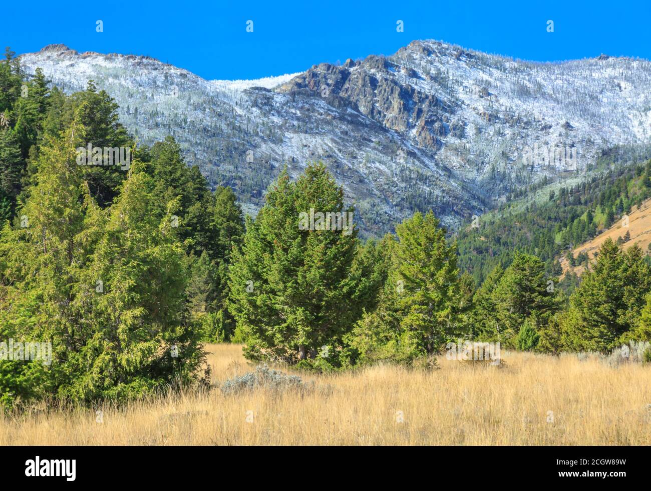 Elkhorn mountains hi-res stock photography and images - Alamy