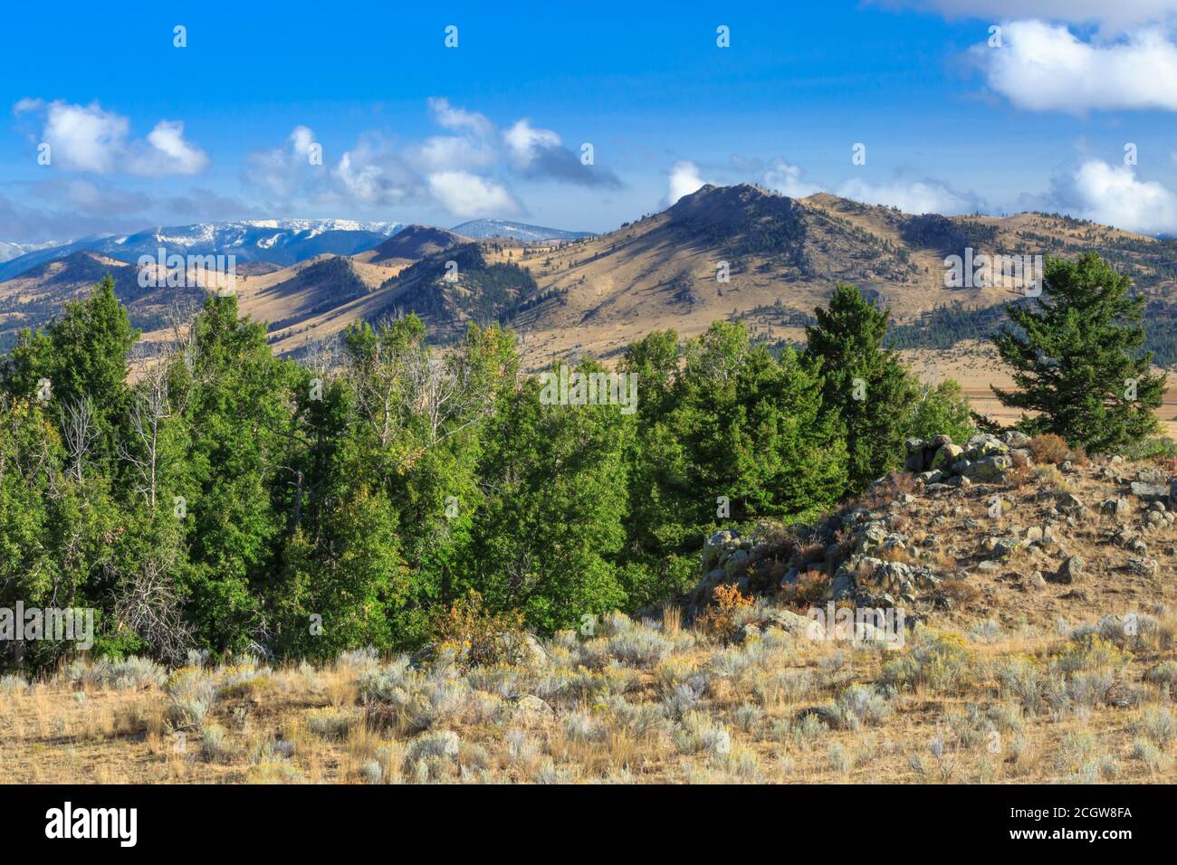 spokane hills near winston, montana Stock Photo - Alamy
