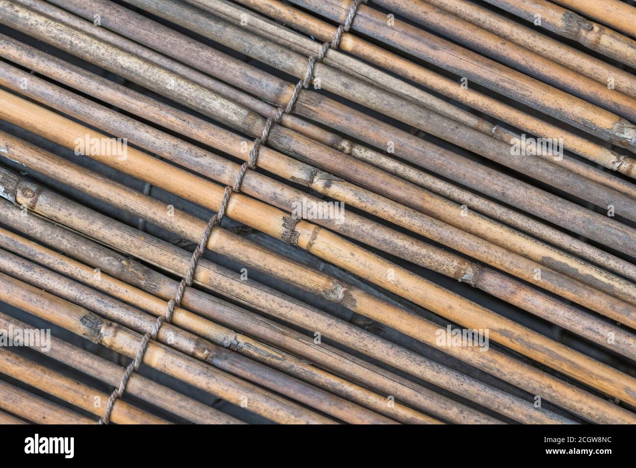 Close shot of flat section of natural reed garden screening, showing ...