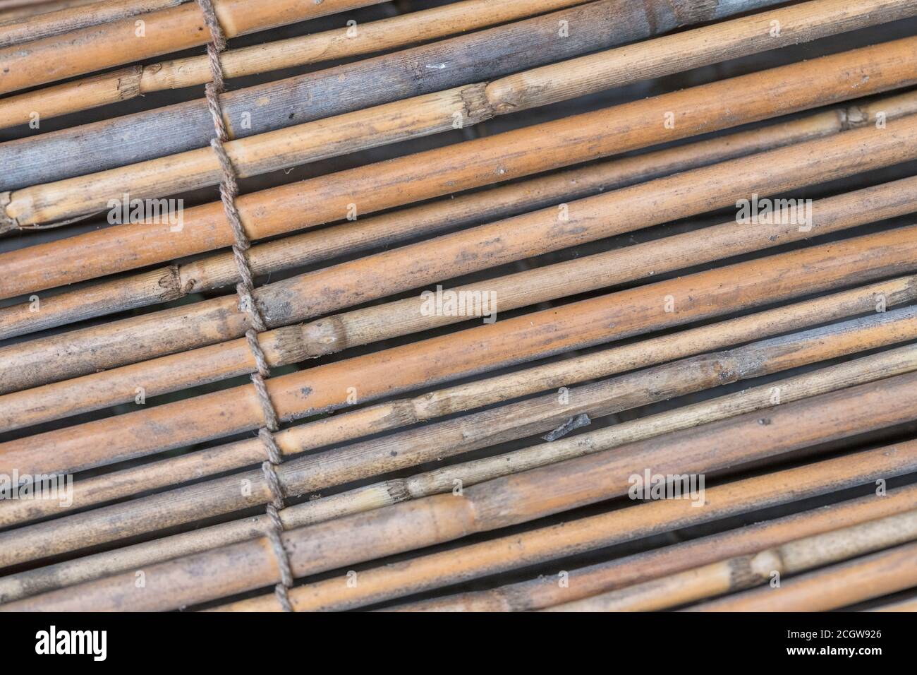 Close shot of flat section of natural reed garden screening, showing ...