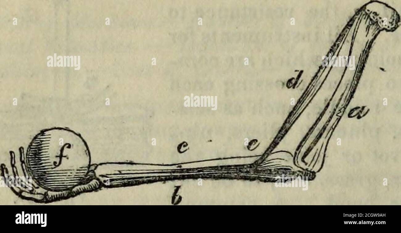 . The Family tutor . 276 NATURAL PHILOSOPHY. of the application of this ...