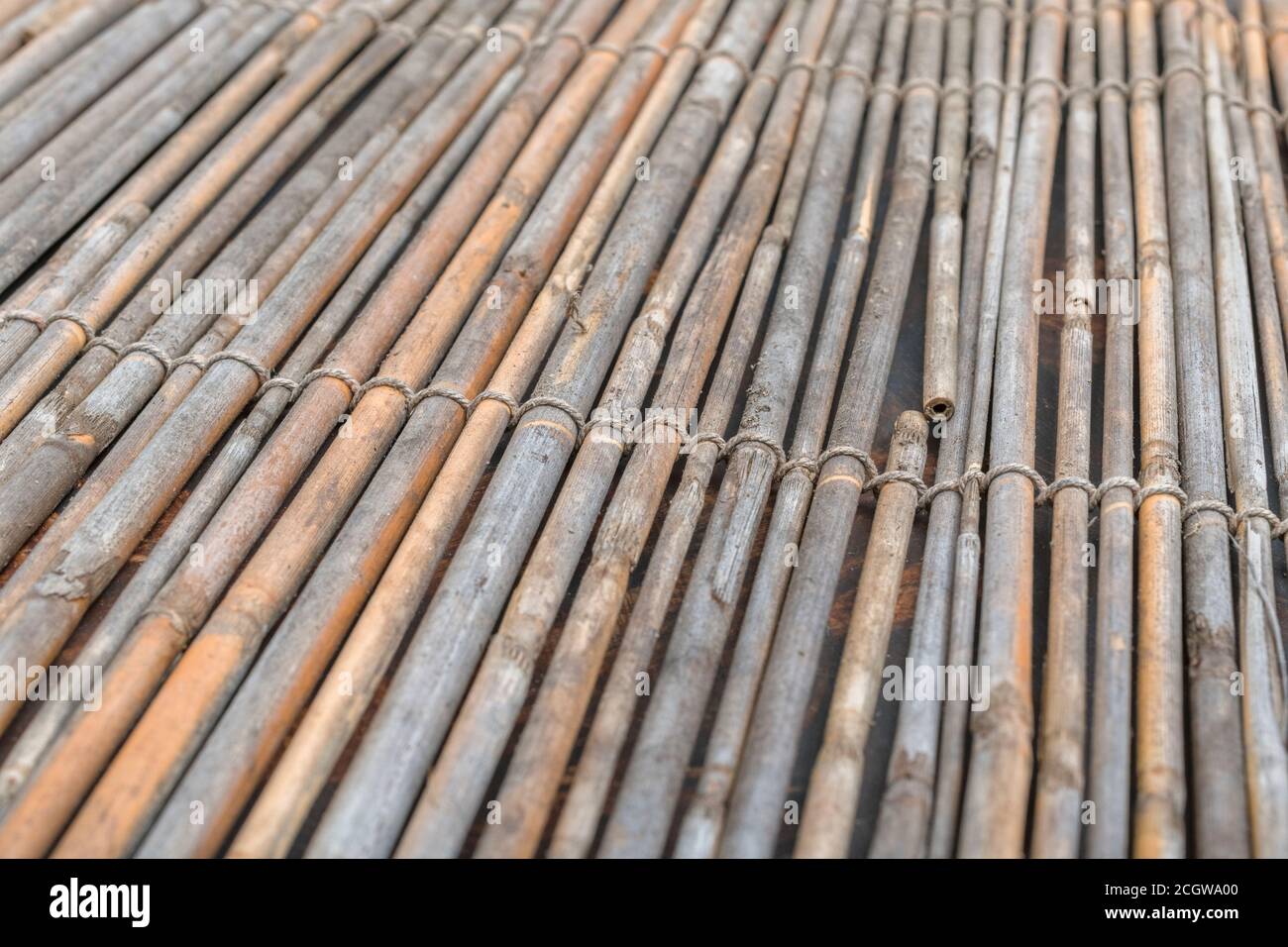 Flat lying section of natural reed garden screening, showing traces of ...