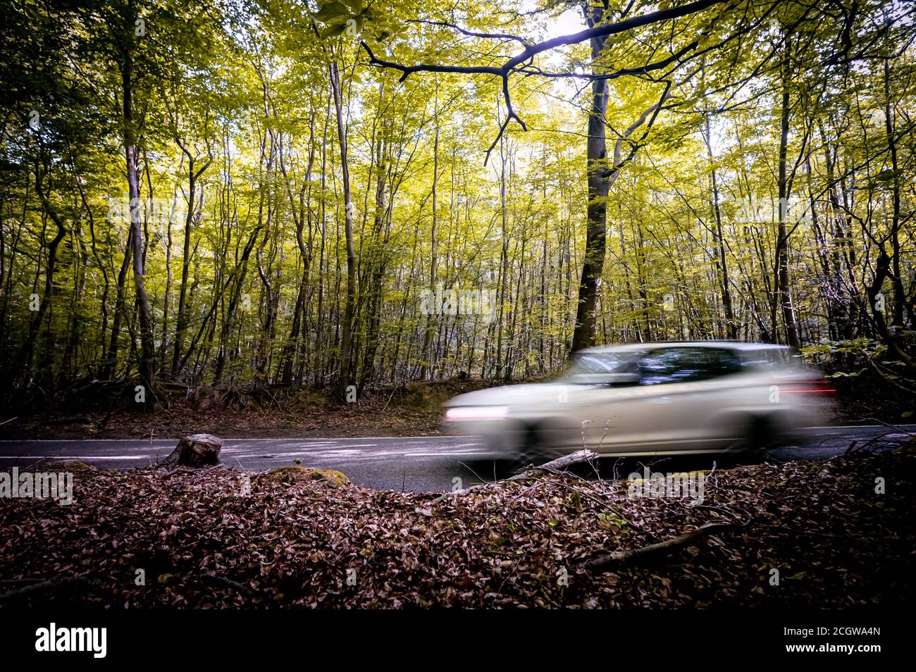 Woodland Road Side View With vehicle Motion Blurred Stock Photo - Alamy