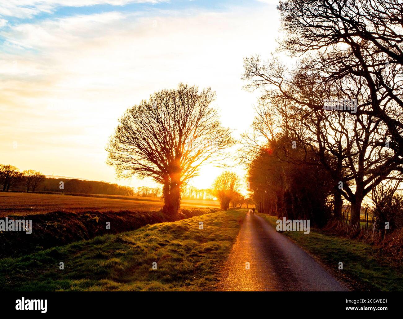 Riding bike down road hi-res stock photography and images - Alamy