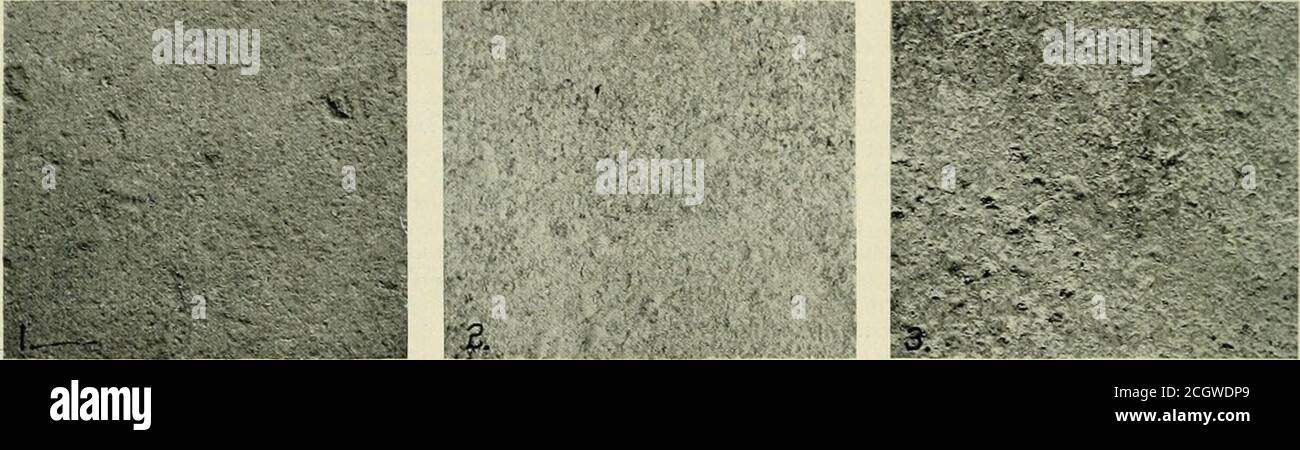 . American engineer . applied filler. The excessive scaling is clearly ...