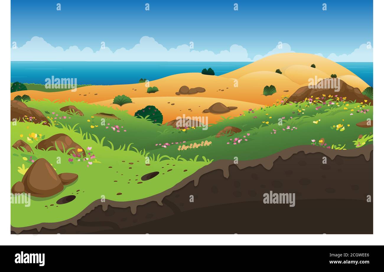 cartoon vector illustration of a California environmental habitat cross ...