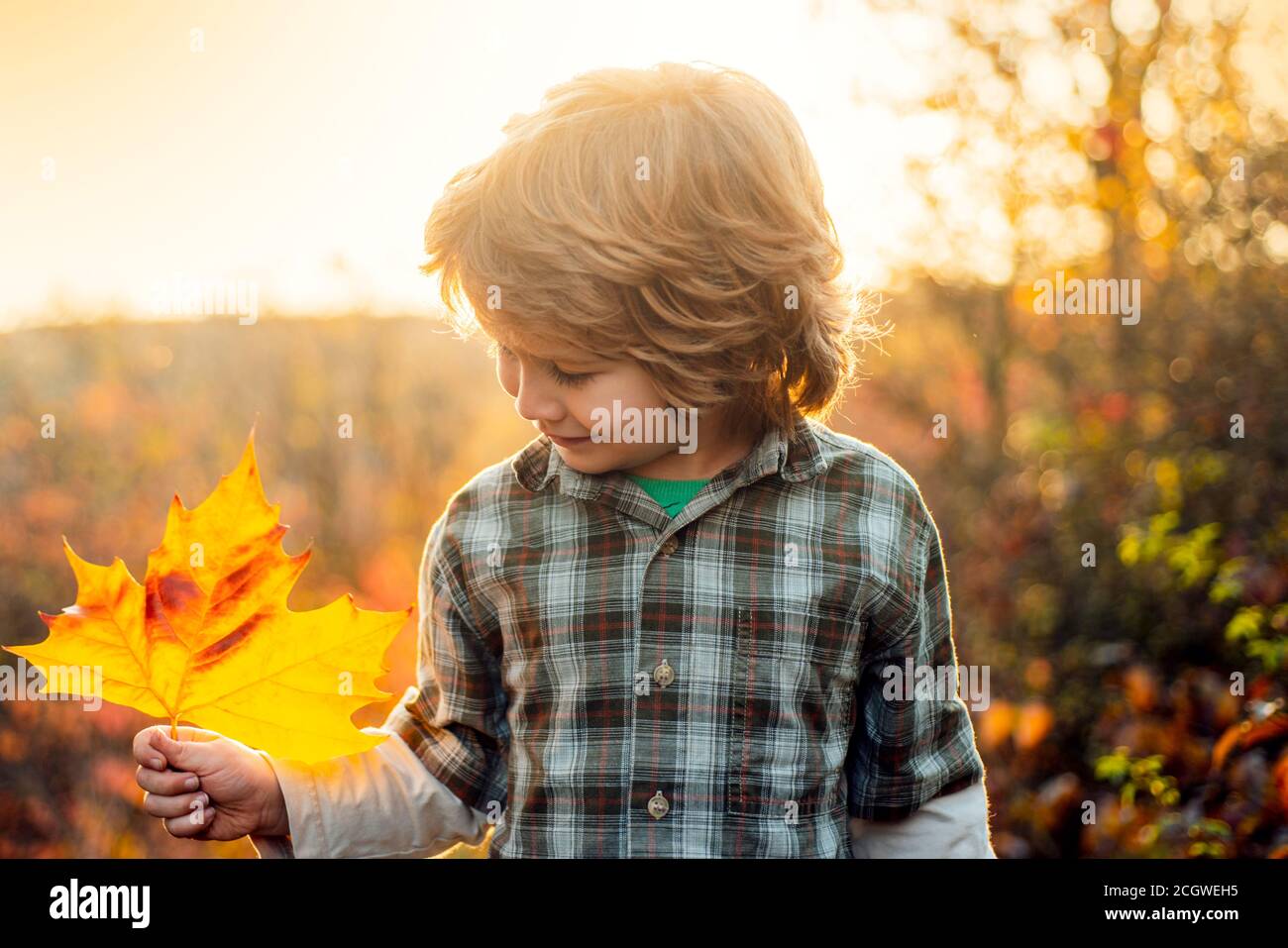 Autumn leaves kid. Autumn portrait of cute little caucasian boy Stock ...