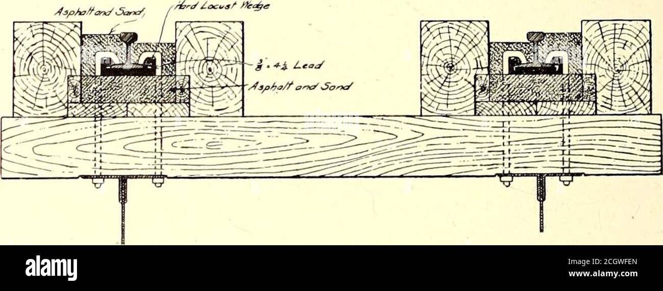 Longitudinal section providing hi-res stock photography and images - Alamy