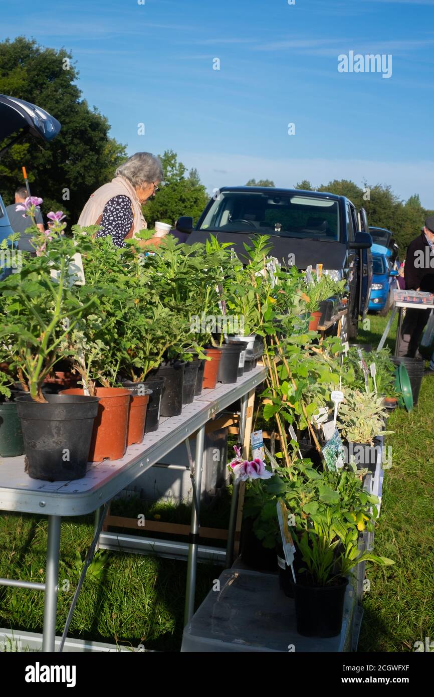 Car boot sale young people hi-res stock photography and images - Alamy