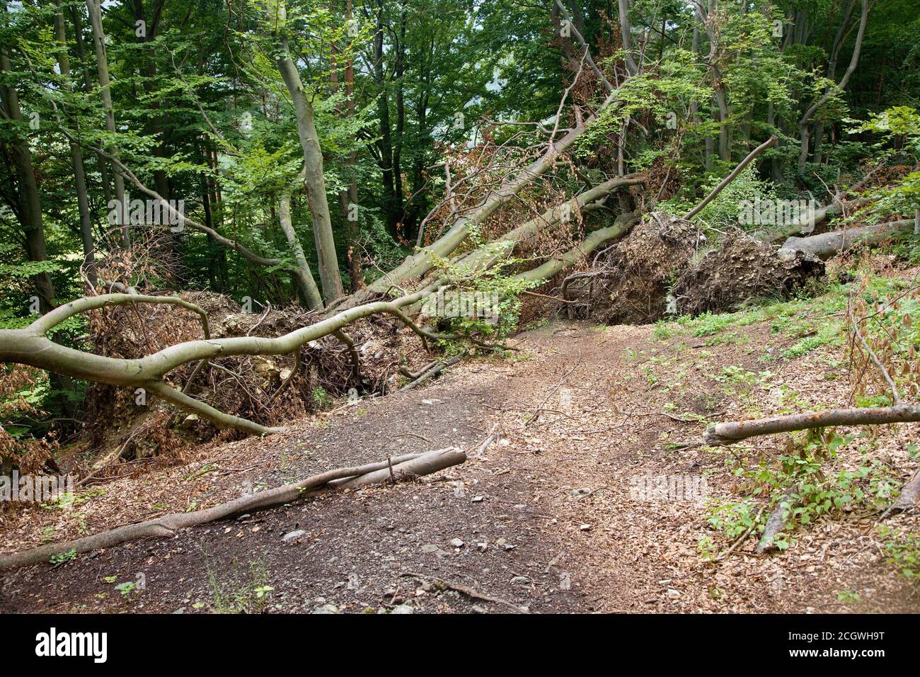 Path damaged hi-res stock photography and images - Alamy
