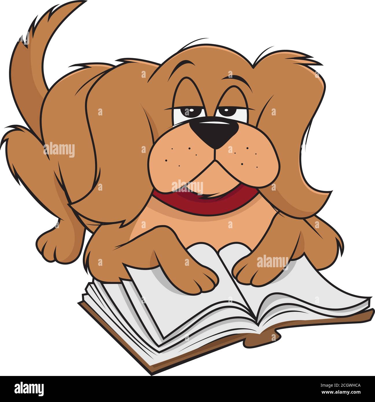 Cute Dogs Reading Books