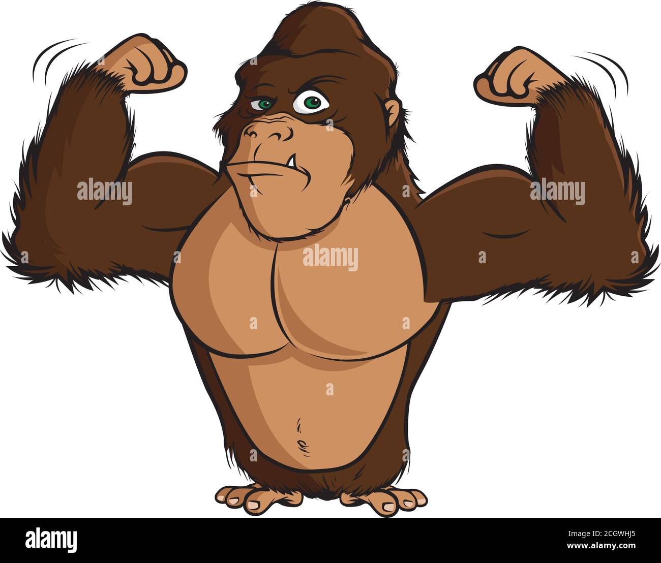 Muscular Monkey Cartoon