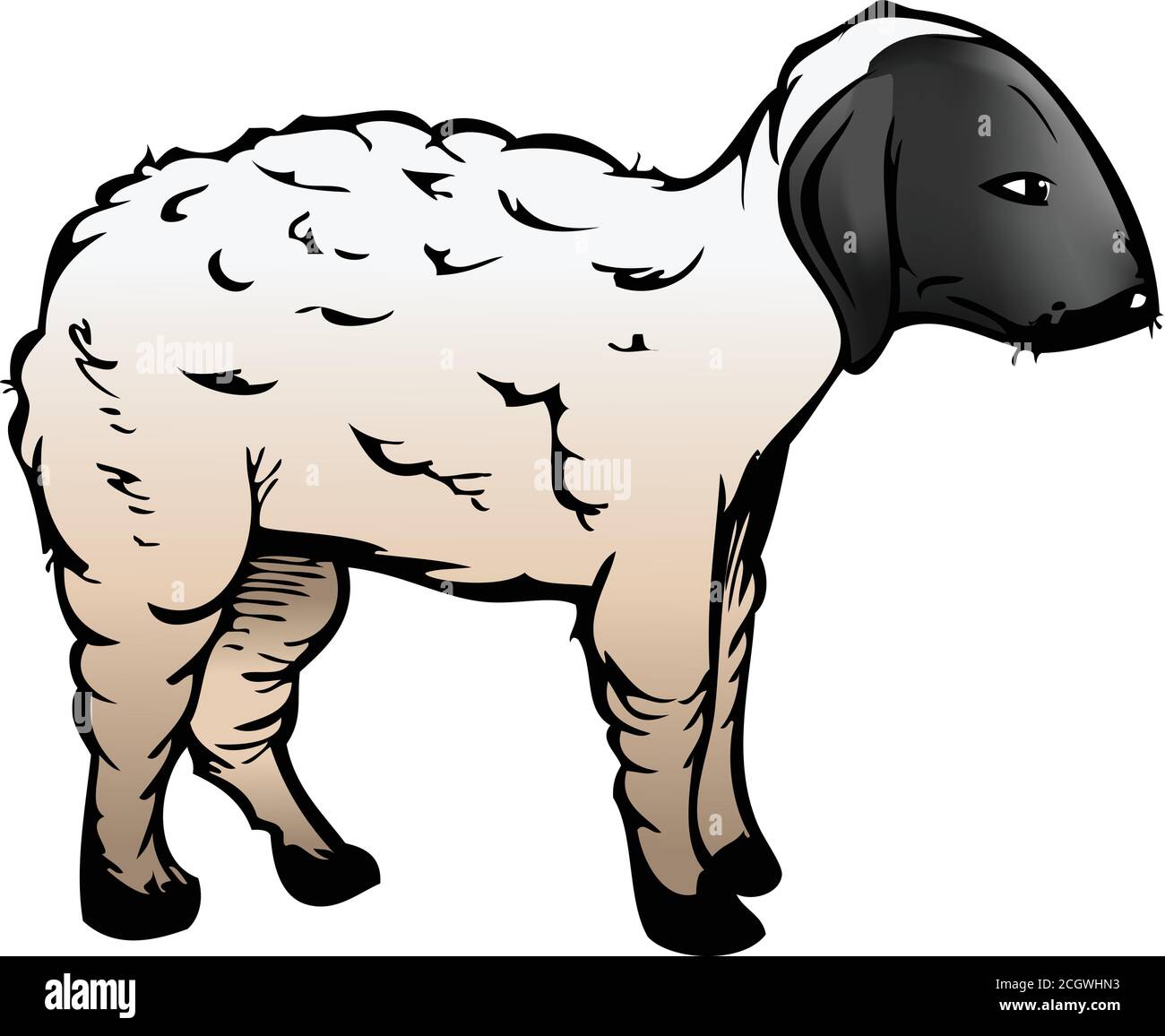 cartoon vector illustration of a sheep Stock Vector Image & Art - Alamy