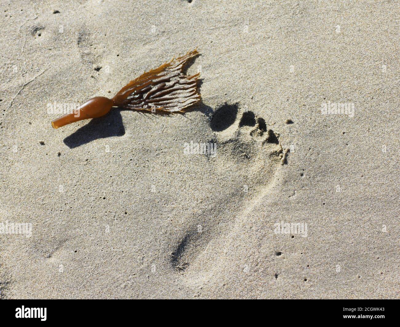 Childs barefoot hi-res stock photography and images - Alamy