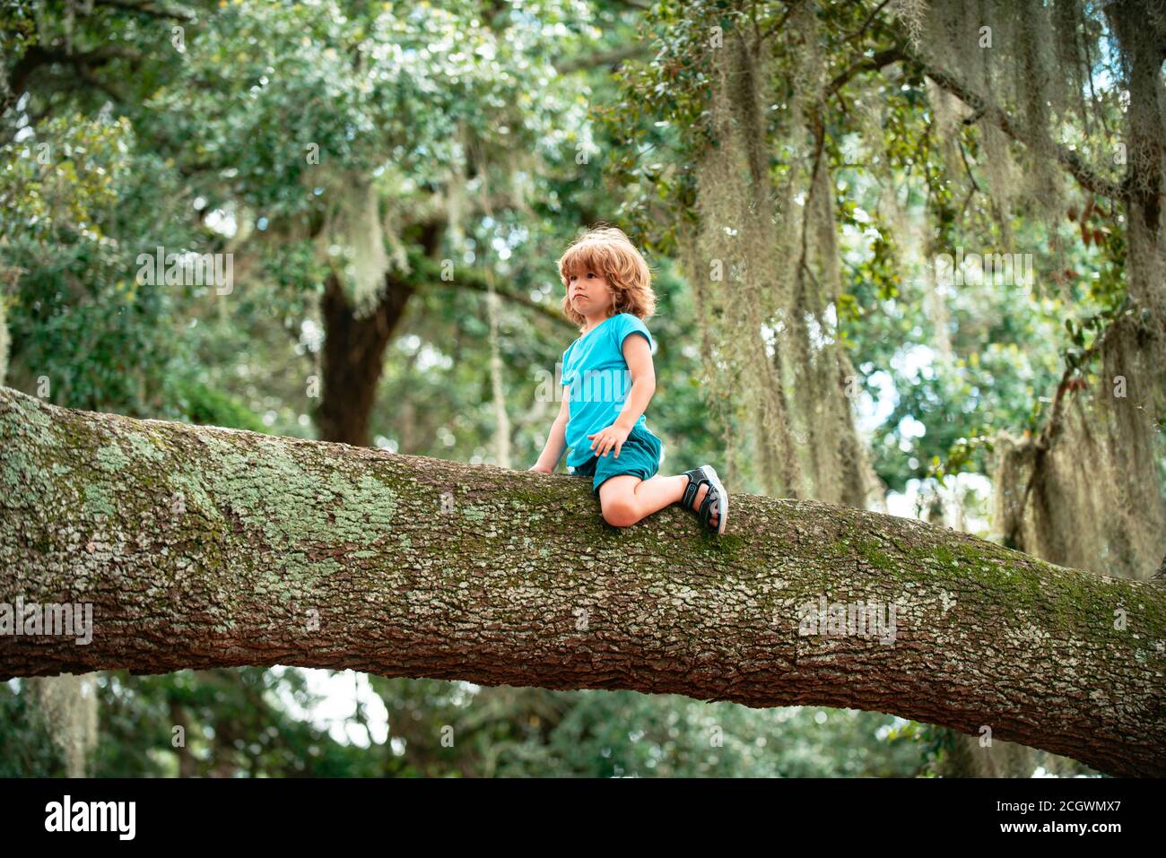 Boy climbed tree hi-res stock photography and images - Alamy