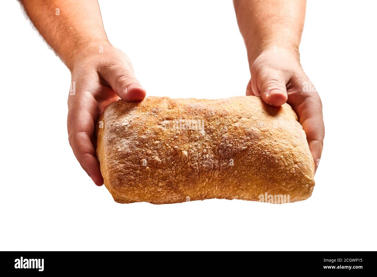 Male hands hold traditional italian wheat bread ciabatta with crispy ...