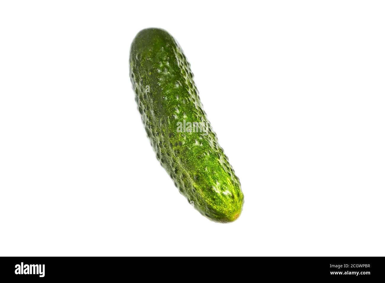 Single green fresh gherkin isolated on white background Stock Photo - Alamy