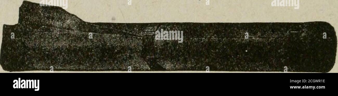 . Science of railways . CABLE. /Asbestos Fire-FeltLocomotive Ur.ciNo, H ...