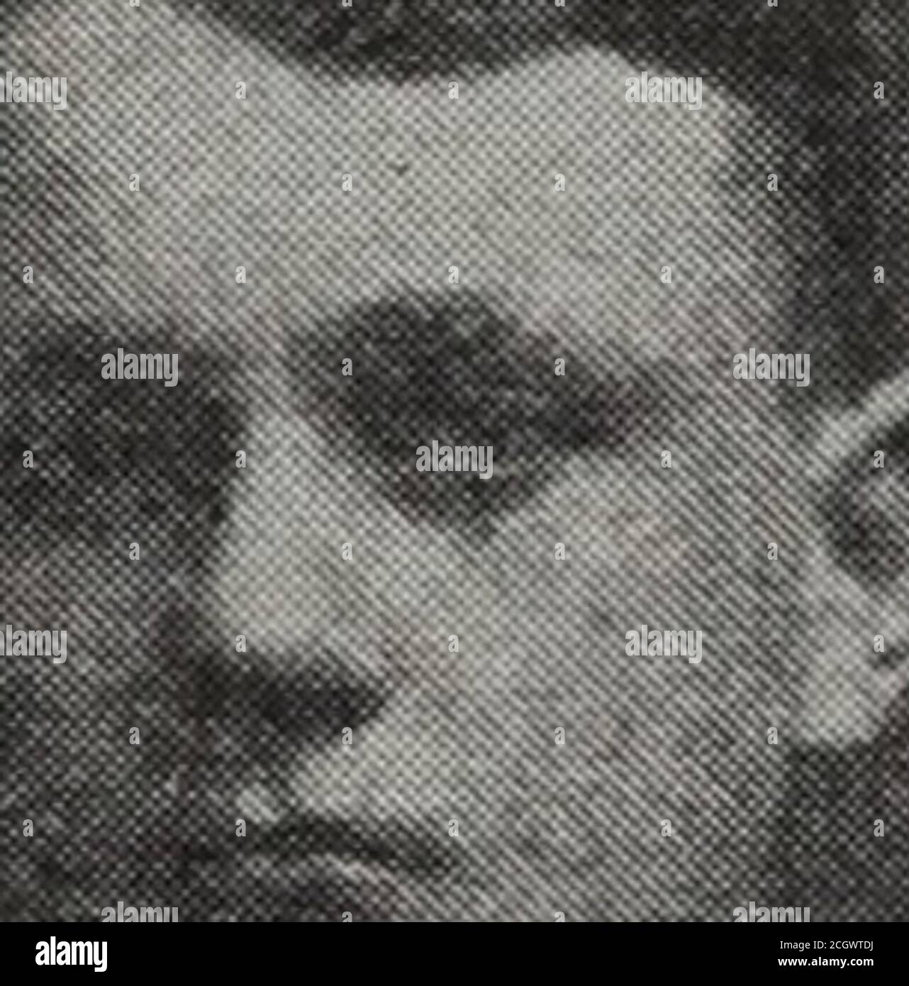 Dr alex carpenter hi-res stock photography and images - Alamy