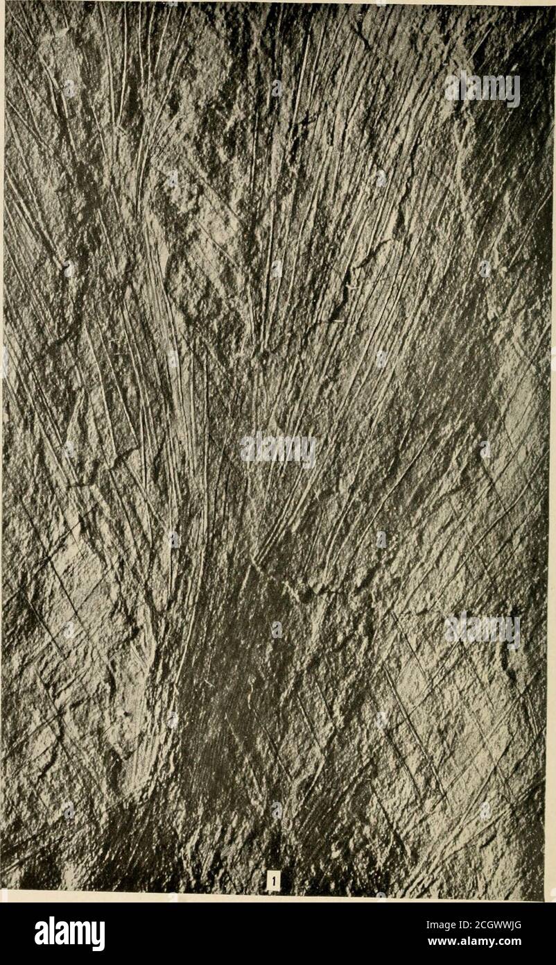 Dawson formation hi-res stock photography and images - Alamy