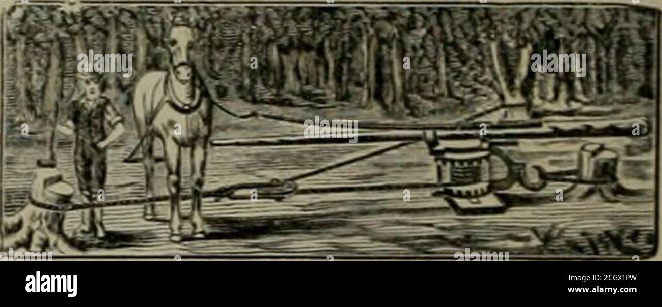 Stump puller hi-res stock photography and images - Alamy