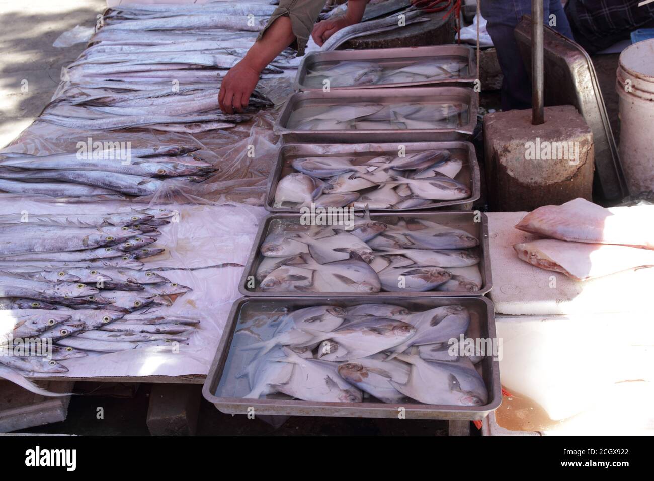 Fish market in Beijing, China Stock Photo - Alamy