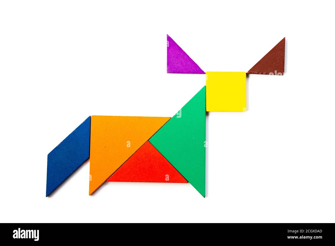 Color wood tangram puzzle in ox, buffalo or bull shape on white ...