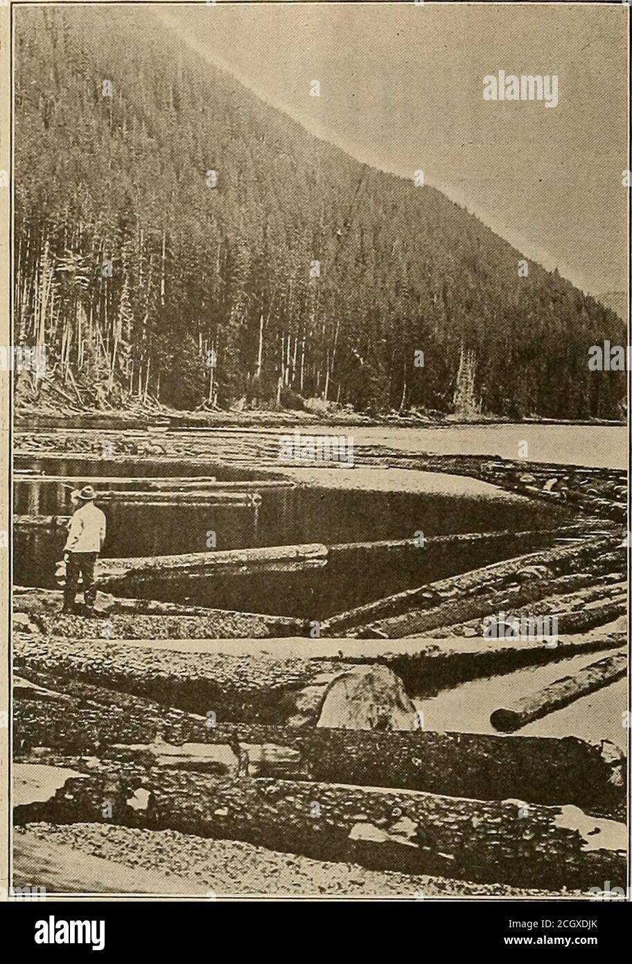 Alaska pulp mill hi-res stock photography and images - Alamy