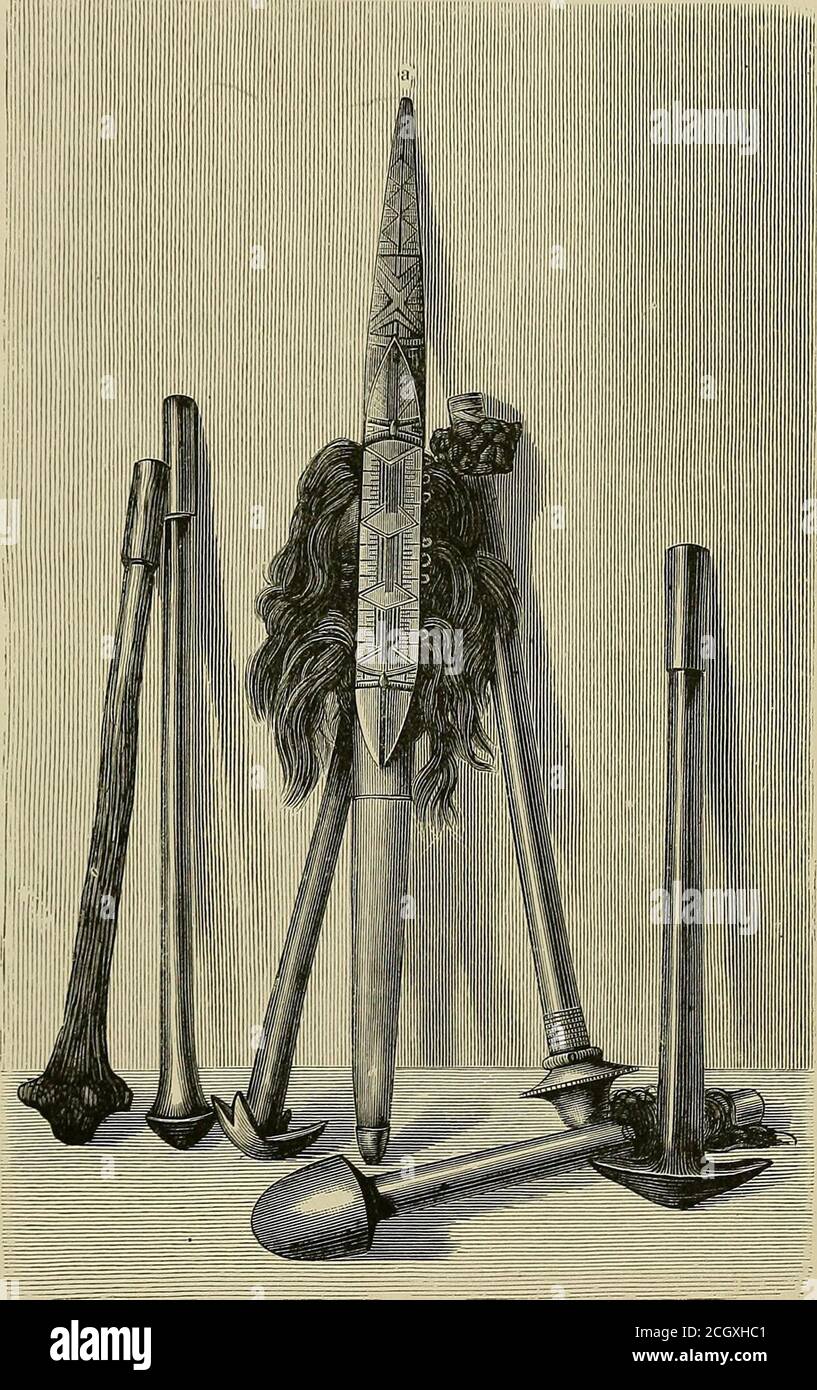 . The history of mankind . - sticks. The throwing-thong of New ...