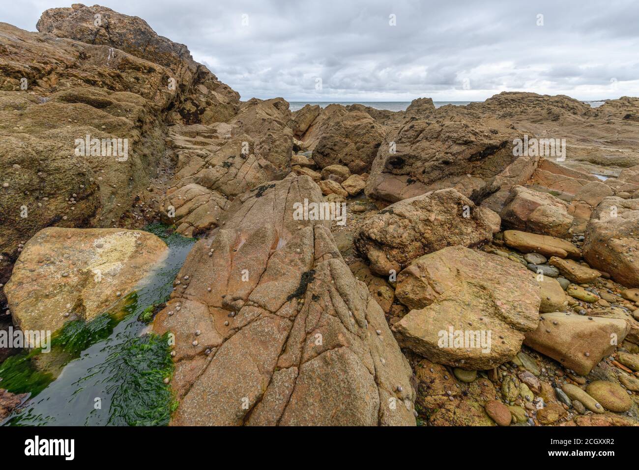 Rocks at low tide on the French Atlantic coast at the Sables d'olonne ...