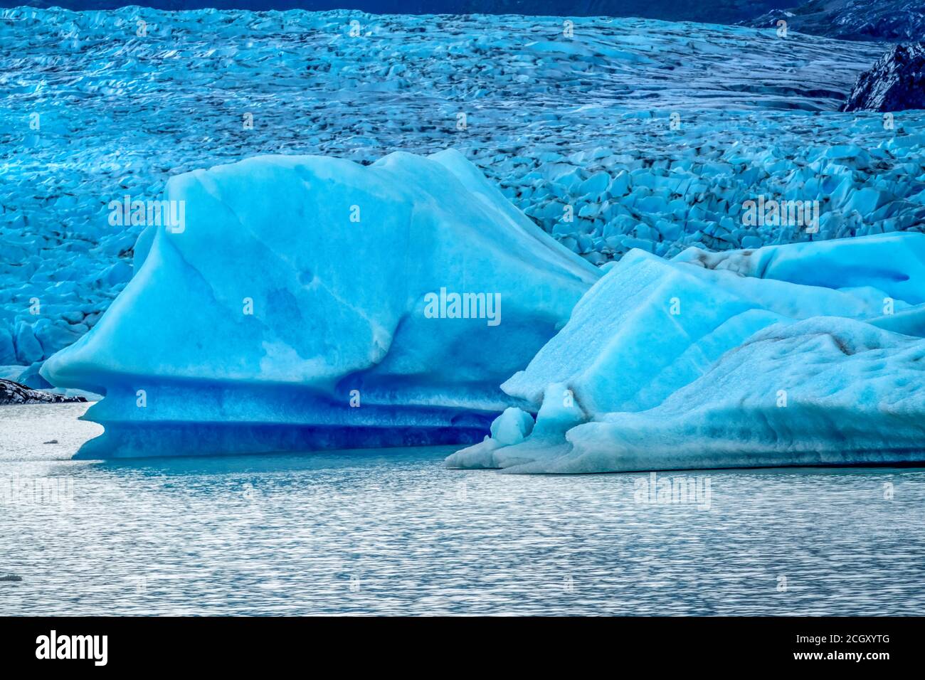 Blue Icebergs Grey Glacier Lake Southern Patagonian Ice Field Torres ...