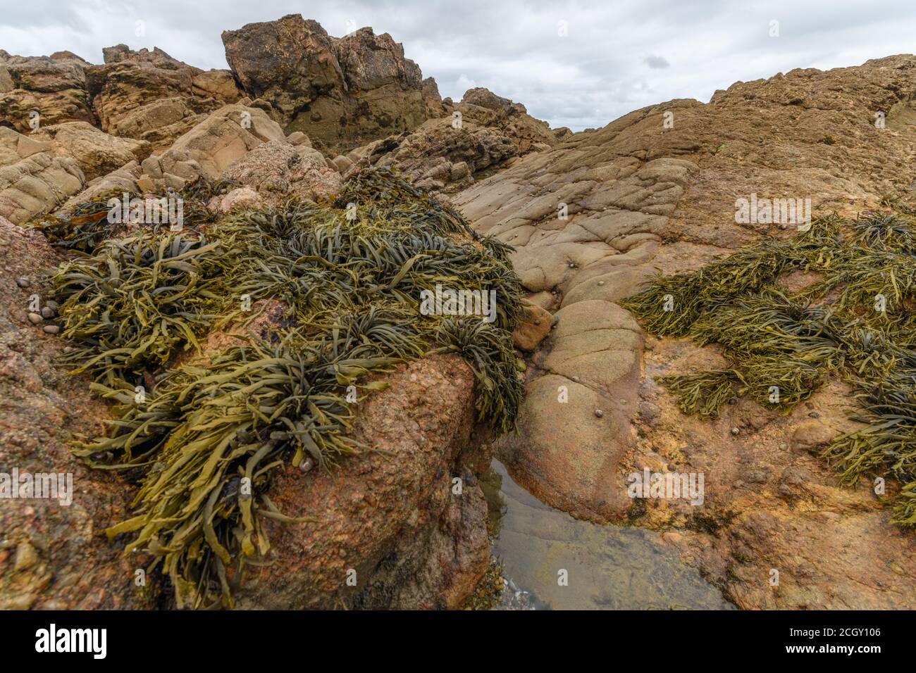 Rocks at low tide on the French Atlantic coast at the Sables d'olonne ...