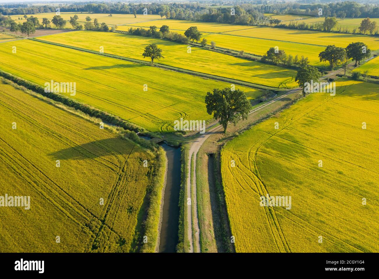 Aerial view of rice fields, North of Italy Stock Photo - Alamy