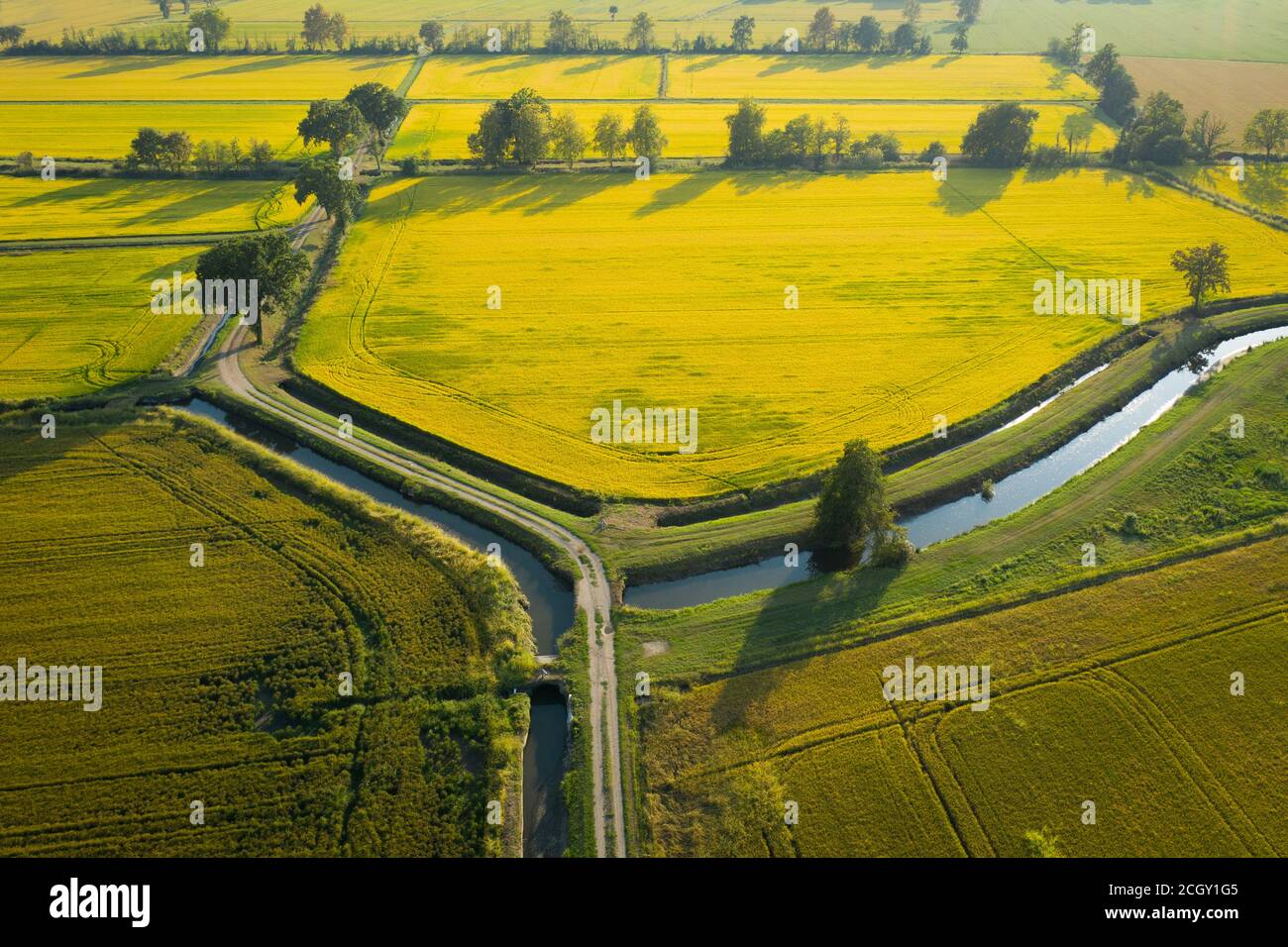 Aerial view of rice fields, North of Italy Stock Photo - Alamy