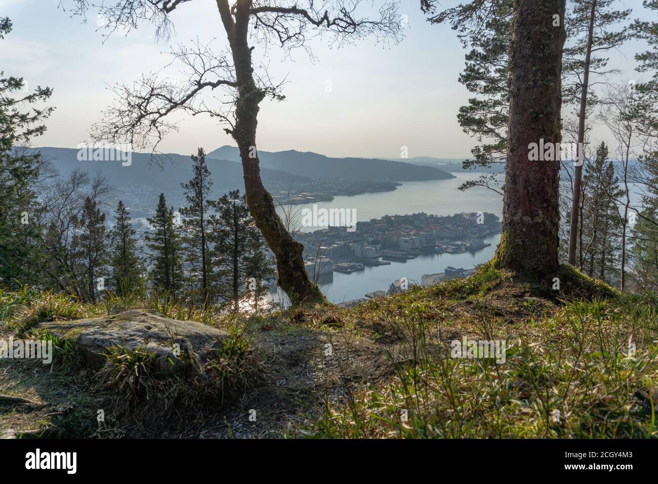 Bergen landscape behind the trees Stock Photo - Alamy
