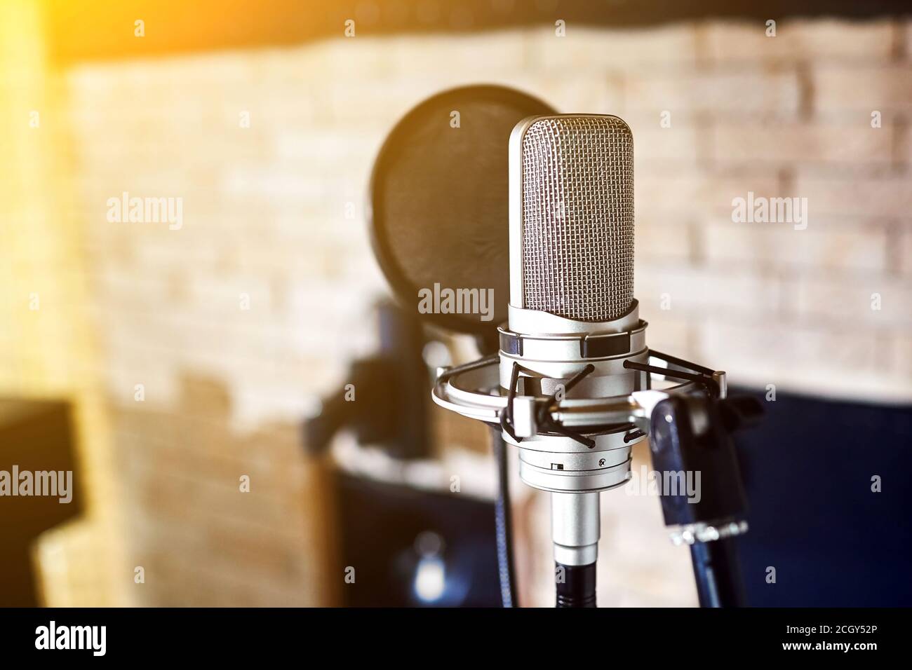 Silver condenser microphone with pop filter and anti-vibration mount ...