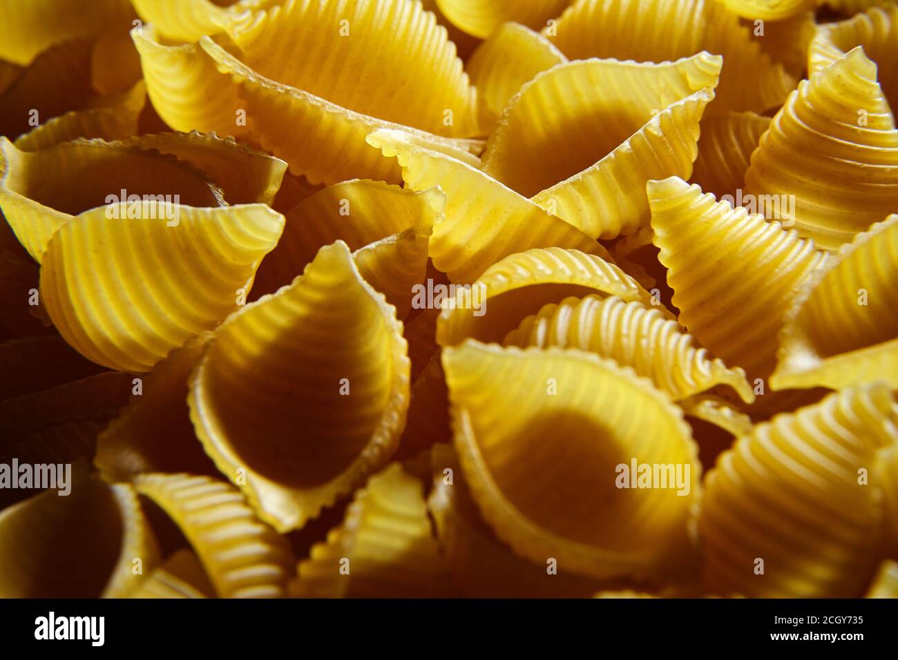 Raw uncooked dry Conchiglioni italian pasta. shells shaped Stock Photo ...