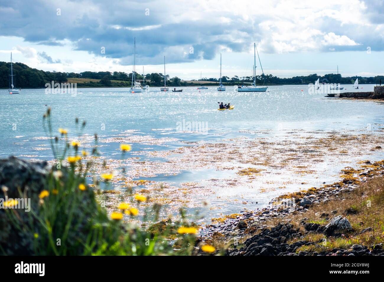 Sailing on Strangford Lough, Co. Down, Northern Ireland Stock Photo - Alamy
